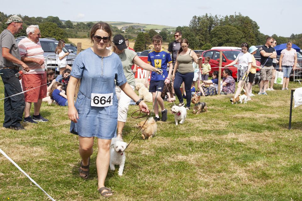 Return of Carnew show sees huge crowd gather for a day of entertainment ...