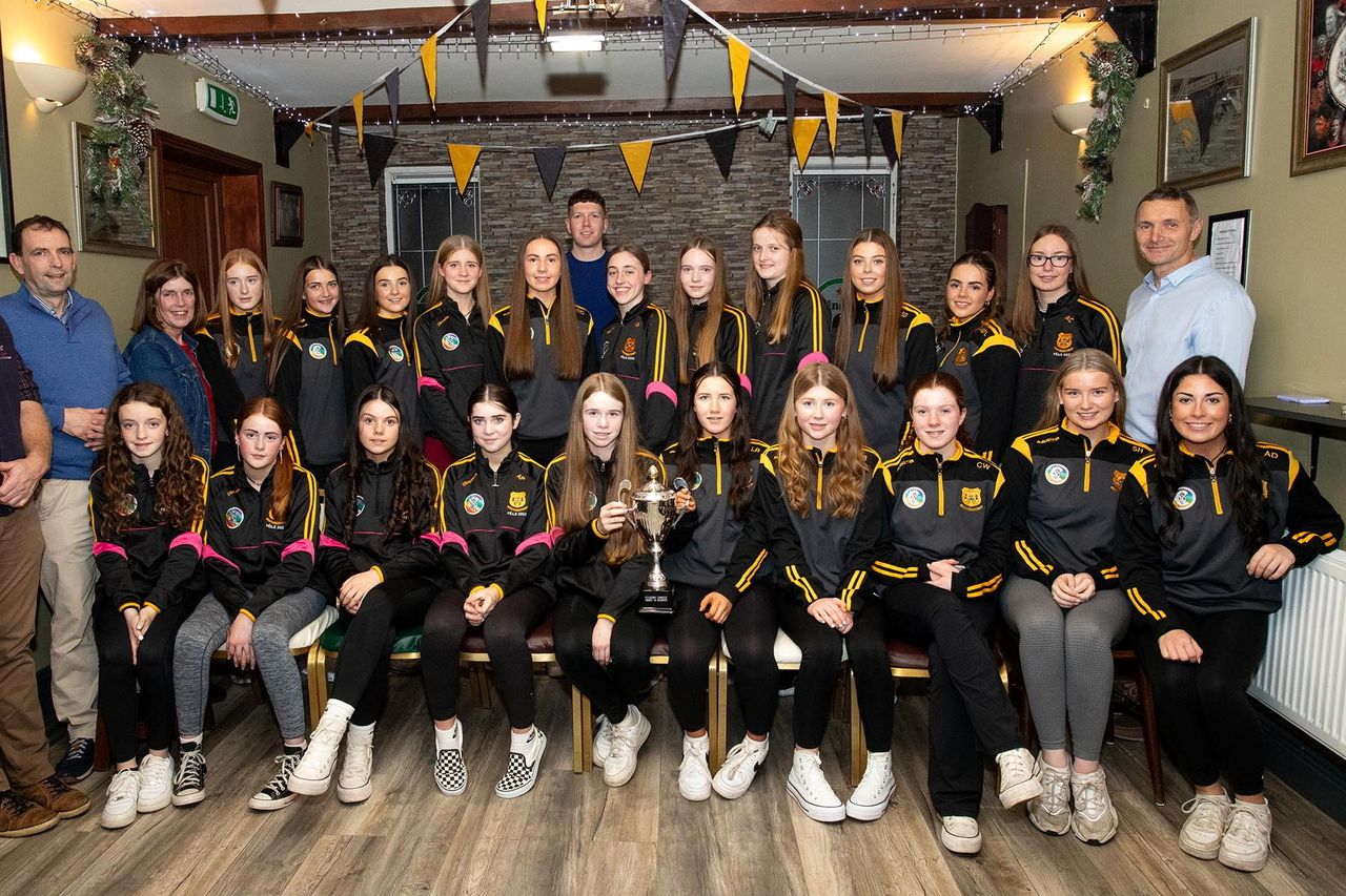 Huge haul of medals for Kilkenny camogie teams | Irish Independent