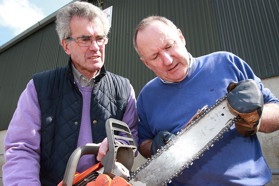 Box clever with chainsaws | Irish Independent