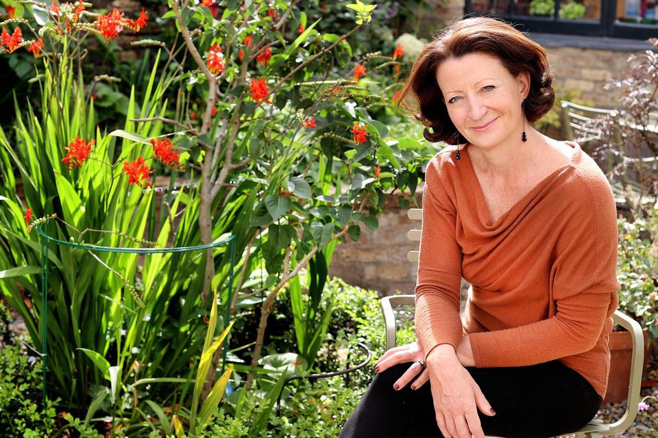 Kathleen MacMahon’s The Scar Home picks at the wounds only a mother can ...