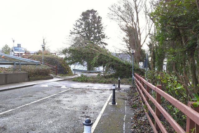 Pictures show the aftermath of Storm Isha in Sligo as clean-up is ...