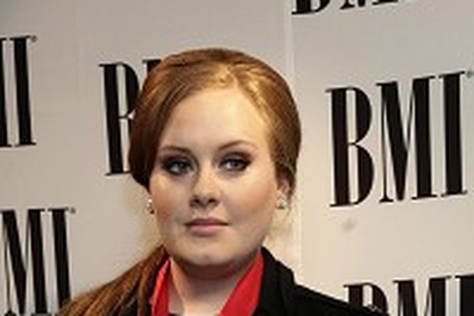 Adele makes US producer nervous | Irish Independent