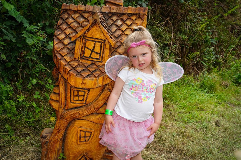 Pictures show crowds enjoying Kilflynn’s Fairy Festival | Irish Independent