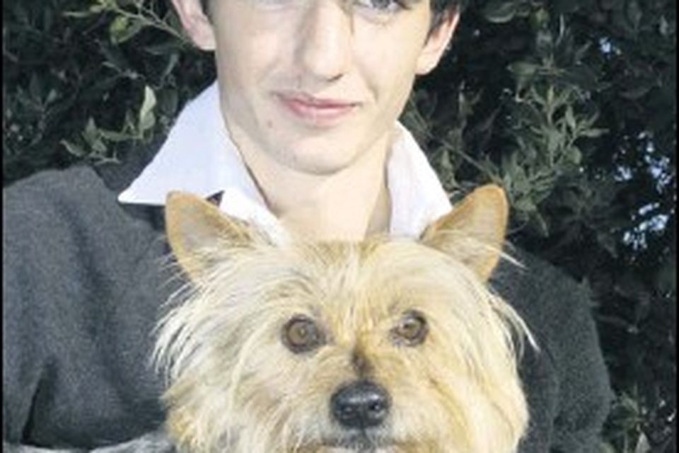 Importance of animal welfare this Hallowe'en | Irish Independent