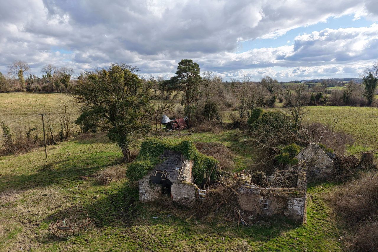 46ac Cavan farm with derelict farmhouse guided at just €5,000/ac ...