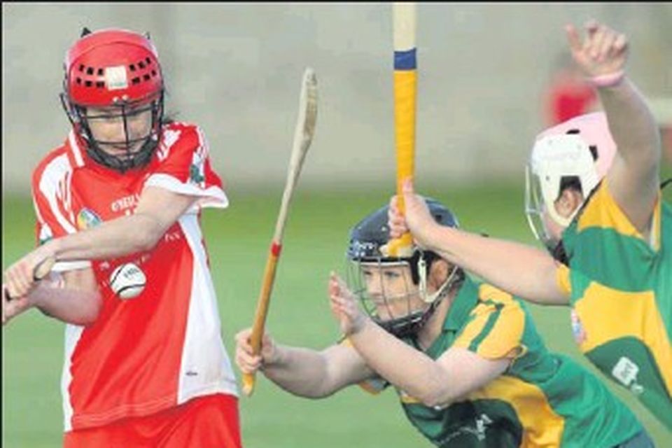 Wins for Glenealy over Knockananna and Annacurra over Kilcoole in the ...