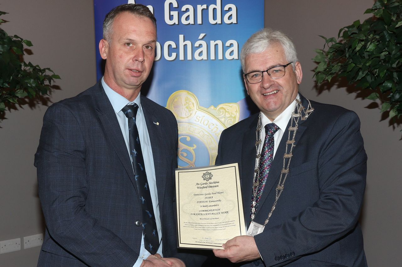 Bravery and dedication of Wexford gardaí recognised at Divisional ...