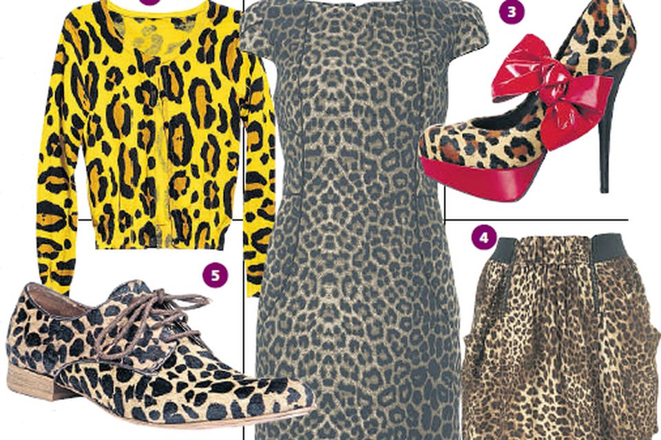Five of the best Leopard print | Irish Independent