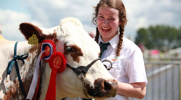 Prize cattle wow the crowds at Cork Show | Irish Independent