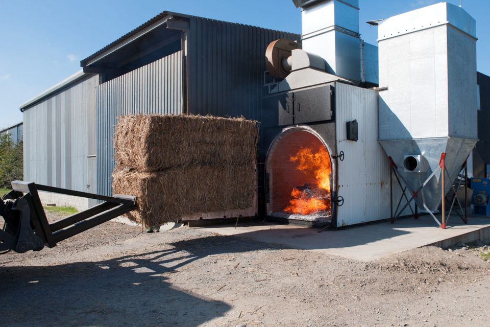 Farmers need more incentives to grow biomass crops | Irish Independent