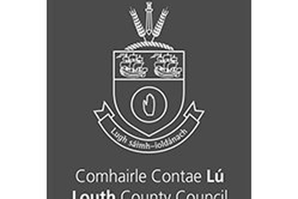 Culture Night 2023 funding call out from Louth County Council | Irish ...