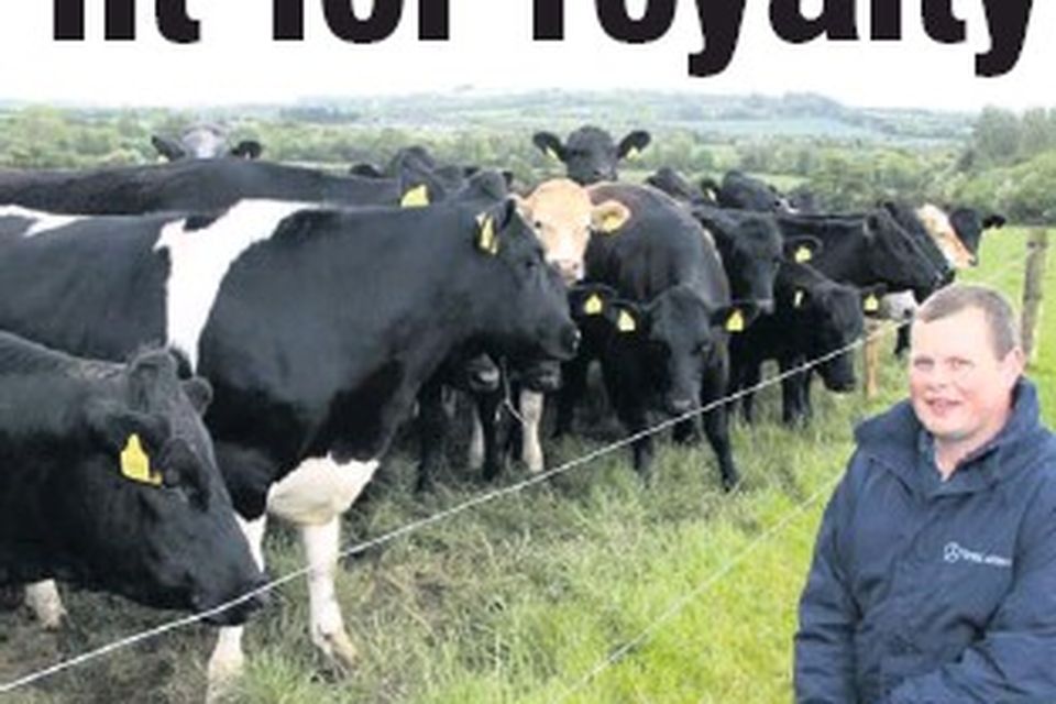 The week in pictures | Independent.ie