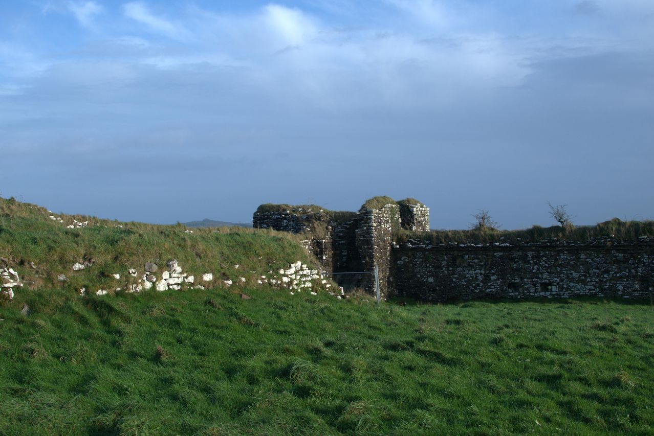 Local group working to preserve 15th-century Sligo castle and restore ...
