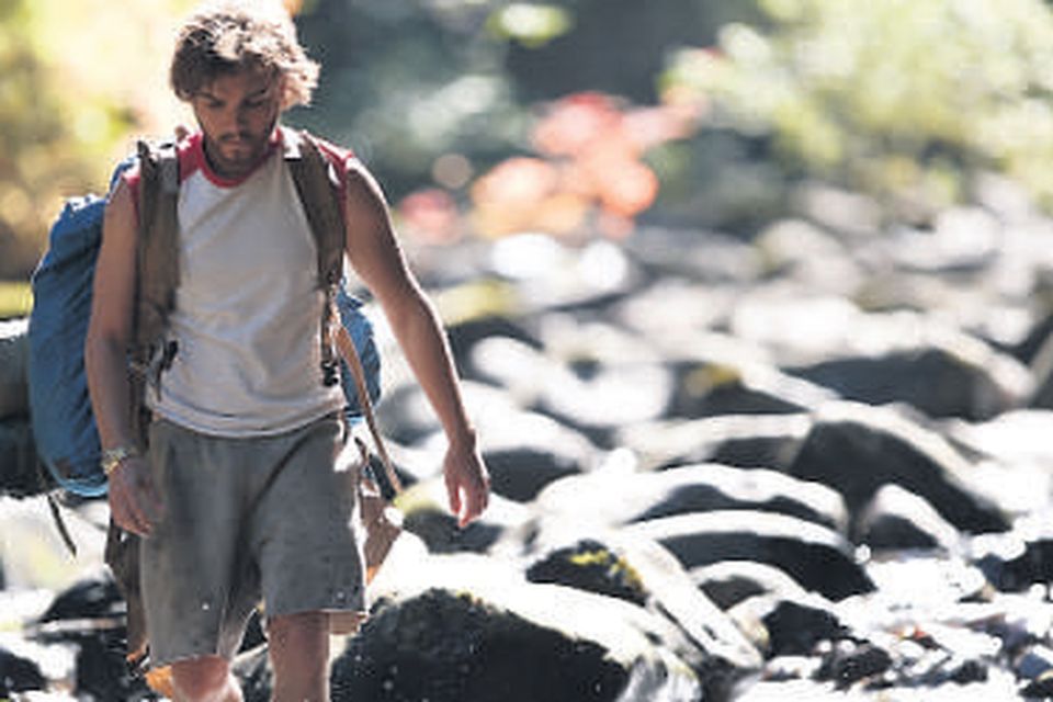 Into the wild * * * * | Irish Independent