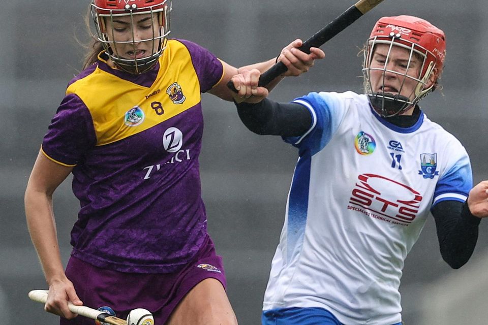 Wexford Senior camogie team struggle in league final with Waterford ...
