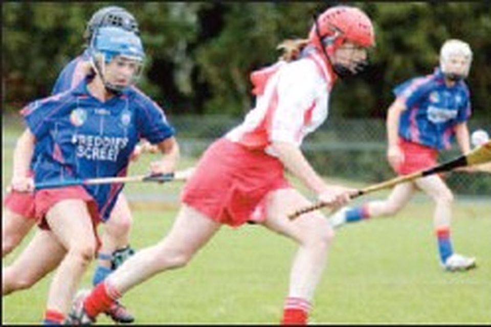 Monageer give mighty show | Irish Independent