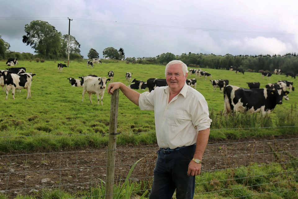 Stepping down from the mart but not stepping away from farming | Irish ...