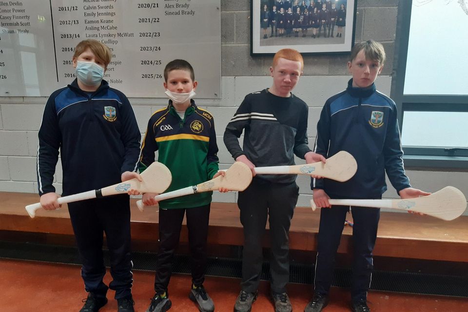 Danny Staunton delivers super hurling blitz for Wicklow students ...