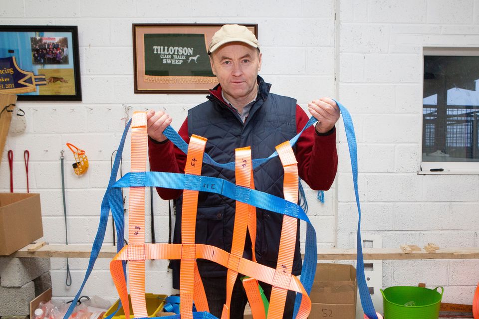 Giving dairy farmers a lift with a solution to the problem of downer ...