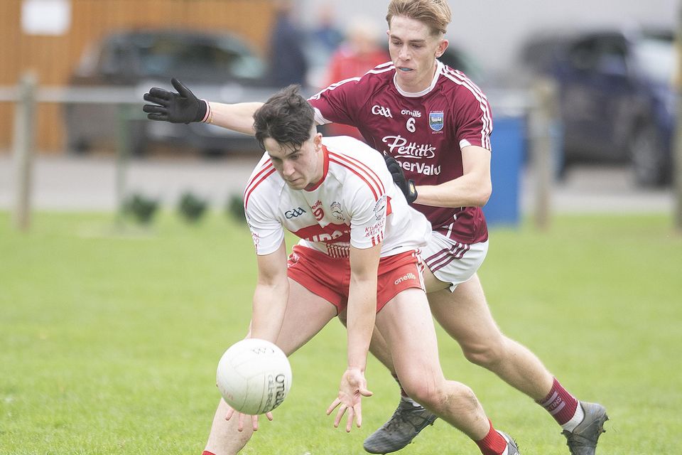 Top Tweets of the week | Irish Independent