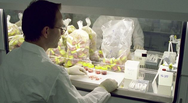 Questions about stringency of BSE testing in non-EU nations | Irish ...
