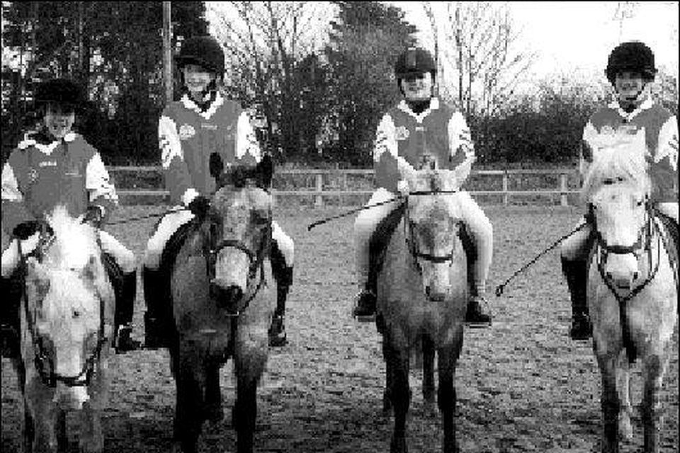 Show jumping | Irish Independent