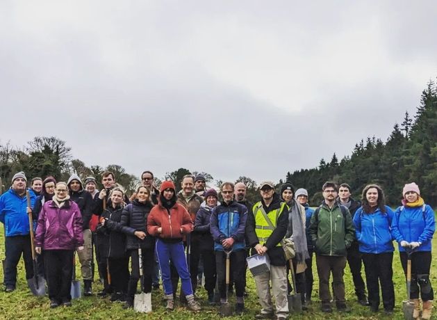 New native wildflower meadow planted by ReWild Wicklow | Irish Independent