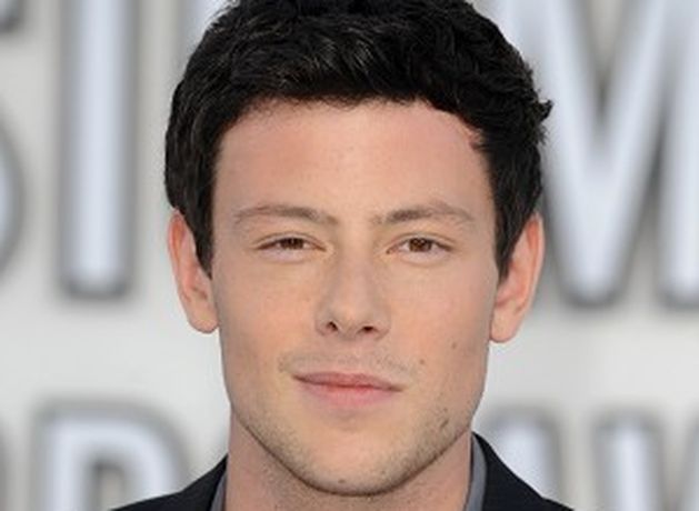 Glee's Cory takes on action movie | Irish Independent
