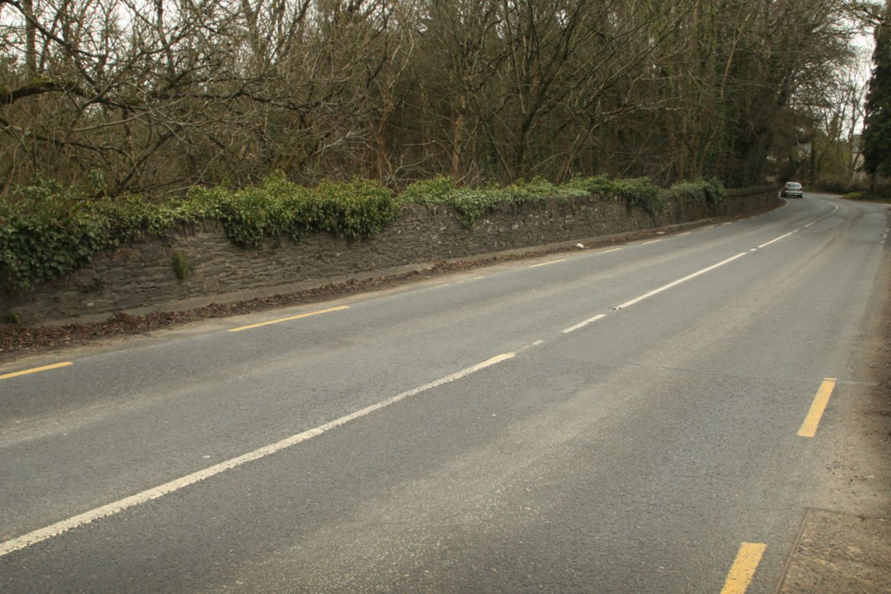 Proposal for a footbridge at Ballinatray Bridge | Irish Independent