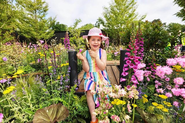 Bord Bia Bloom 2023: Everything you need to know about Ireland’s ...