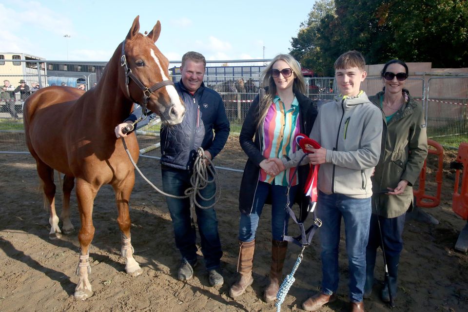 Pictures show all the Galway craic as Ballinasloe Horse Fair gets ...