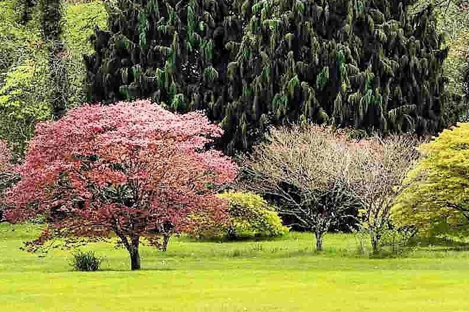 John F Kennedy Arboretum worth a visit | Irish Independent