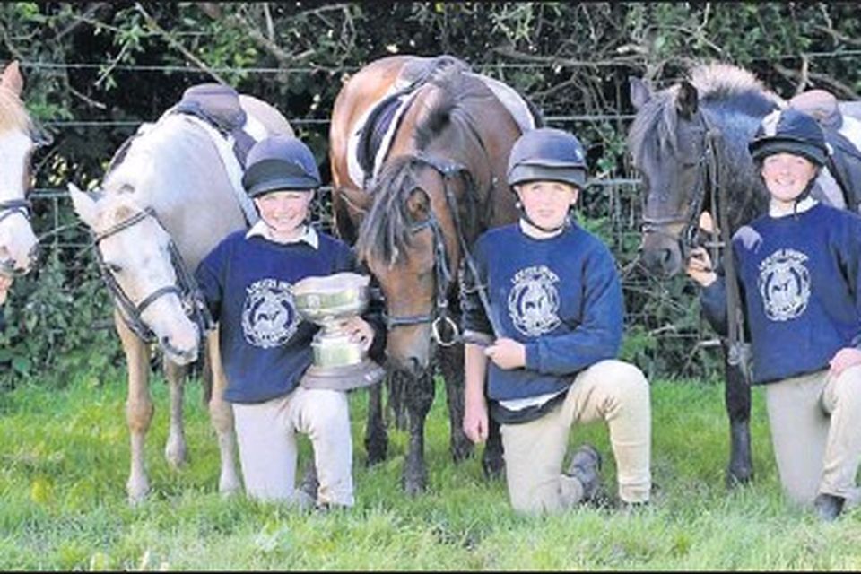 Louth's famous five are the mane attraction! | Irish Independent