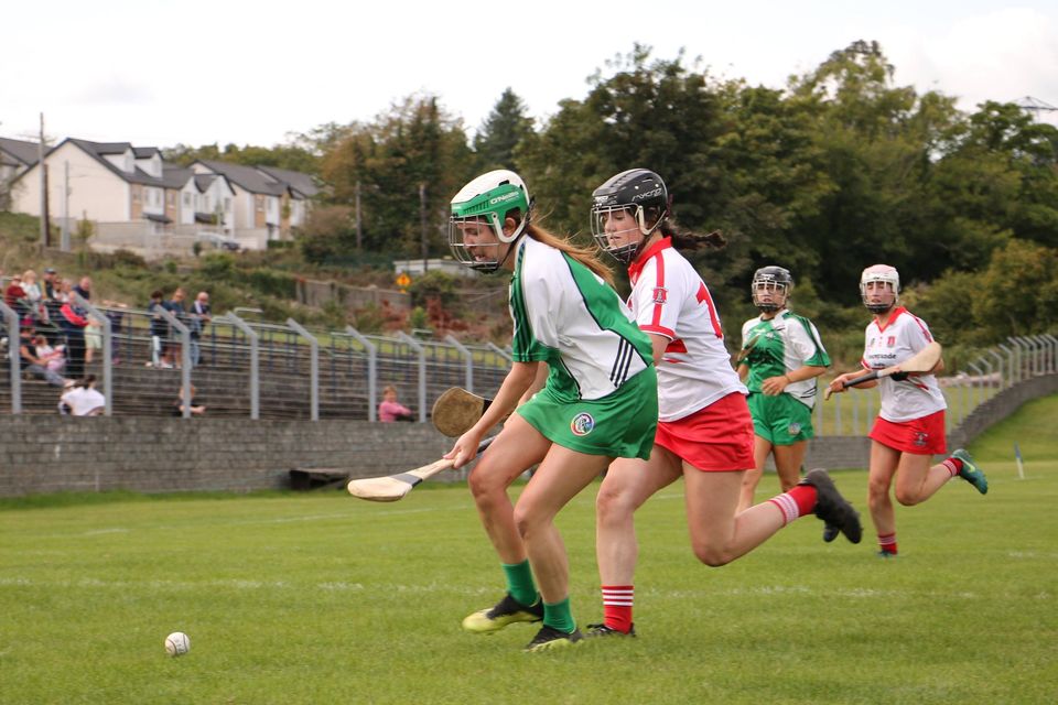 ’Dales prove unbreakable against Aughrim in Intermediate camogie semi ...