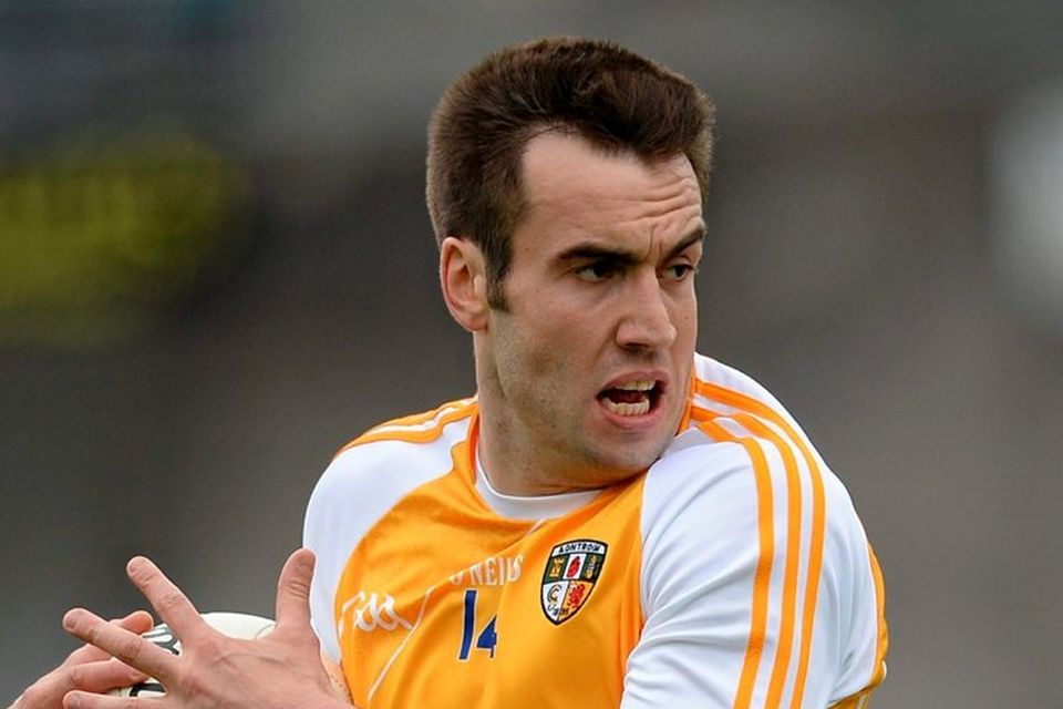 Niblock determined to make the most of rare Croker visit | Irish ...