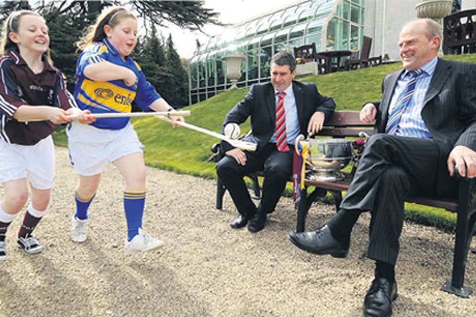 New golden age of hurling | Irish Independent