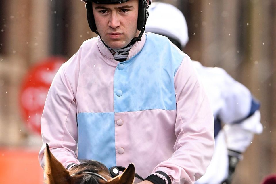 Jordan Gainford is Limerick leader as talented Wexford jockey rides ...