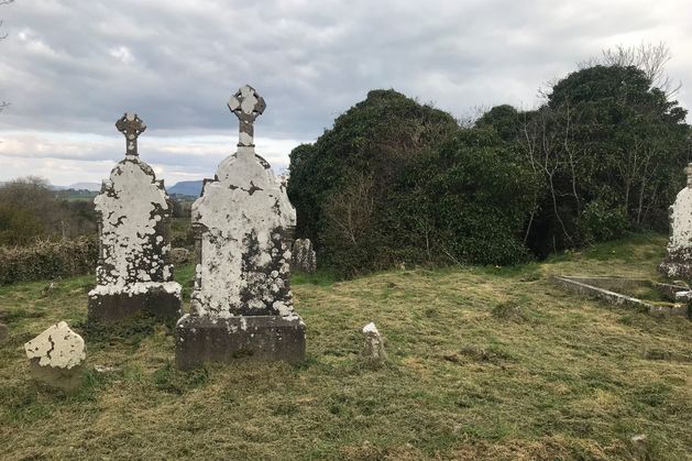 Sligo’s historic Skreen church and graveyard undergo ivy and vegetation ...