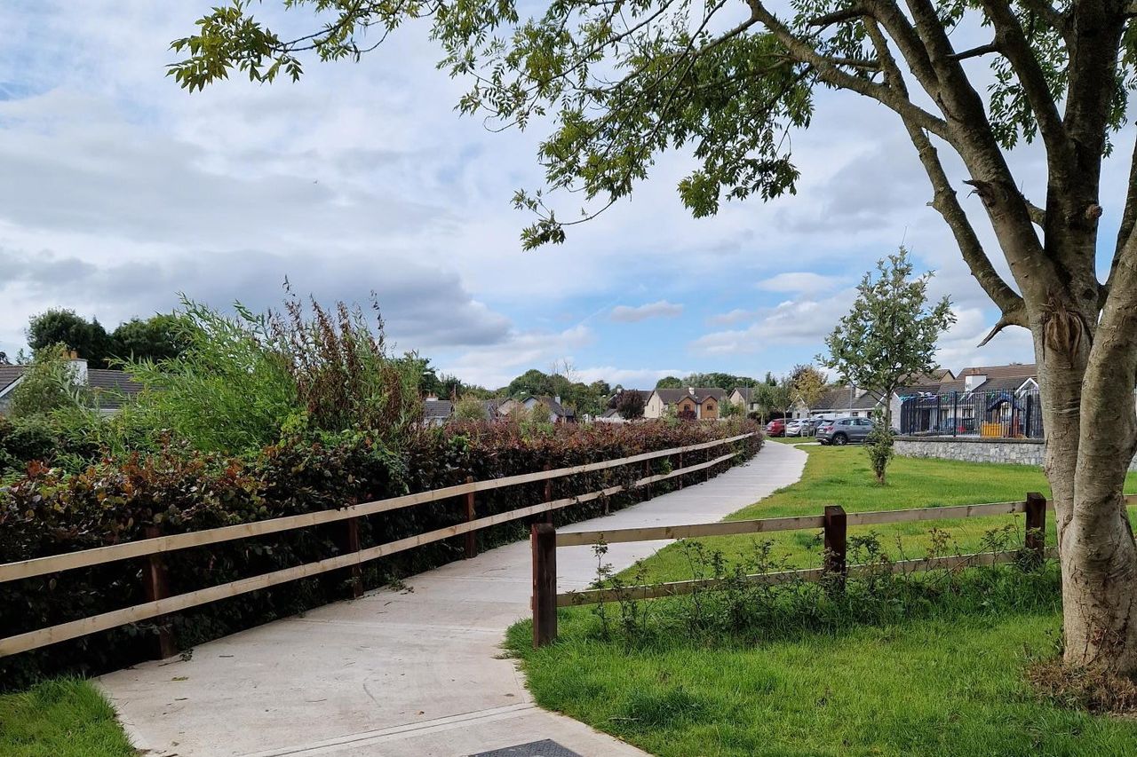 Path to happiness – how a Waterford community has been transformed by ...