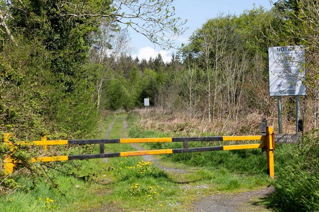Bid to challenge Apple’s €850m Athenry data centre plan to be heard ...