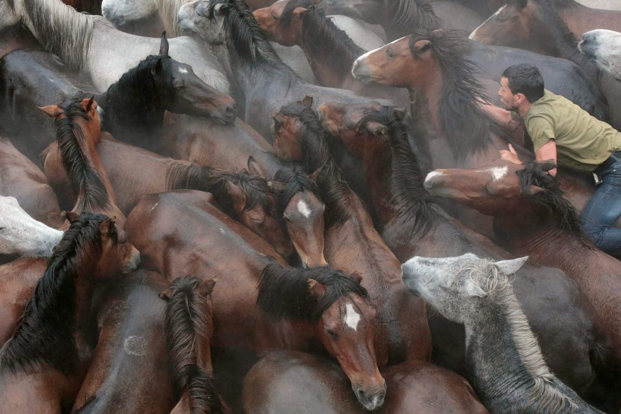 The World In Pictures | Irish Independent