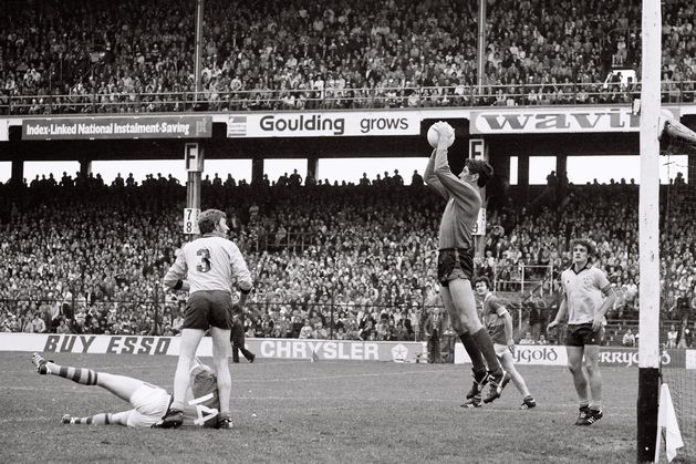 Paddy Cullen obituary: The gregarious and personable Dublin goalkeeper ...