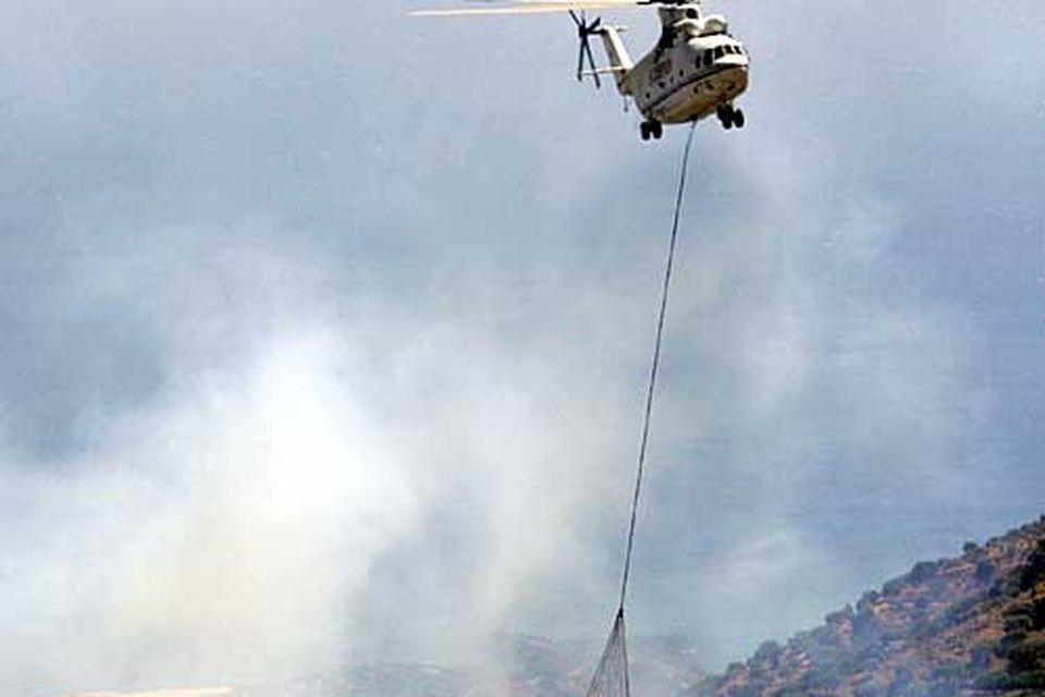 Irishman started island bush fire | Irish Independent