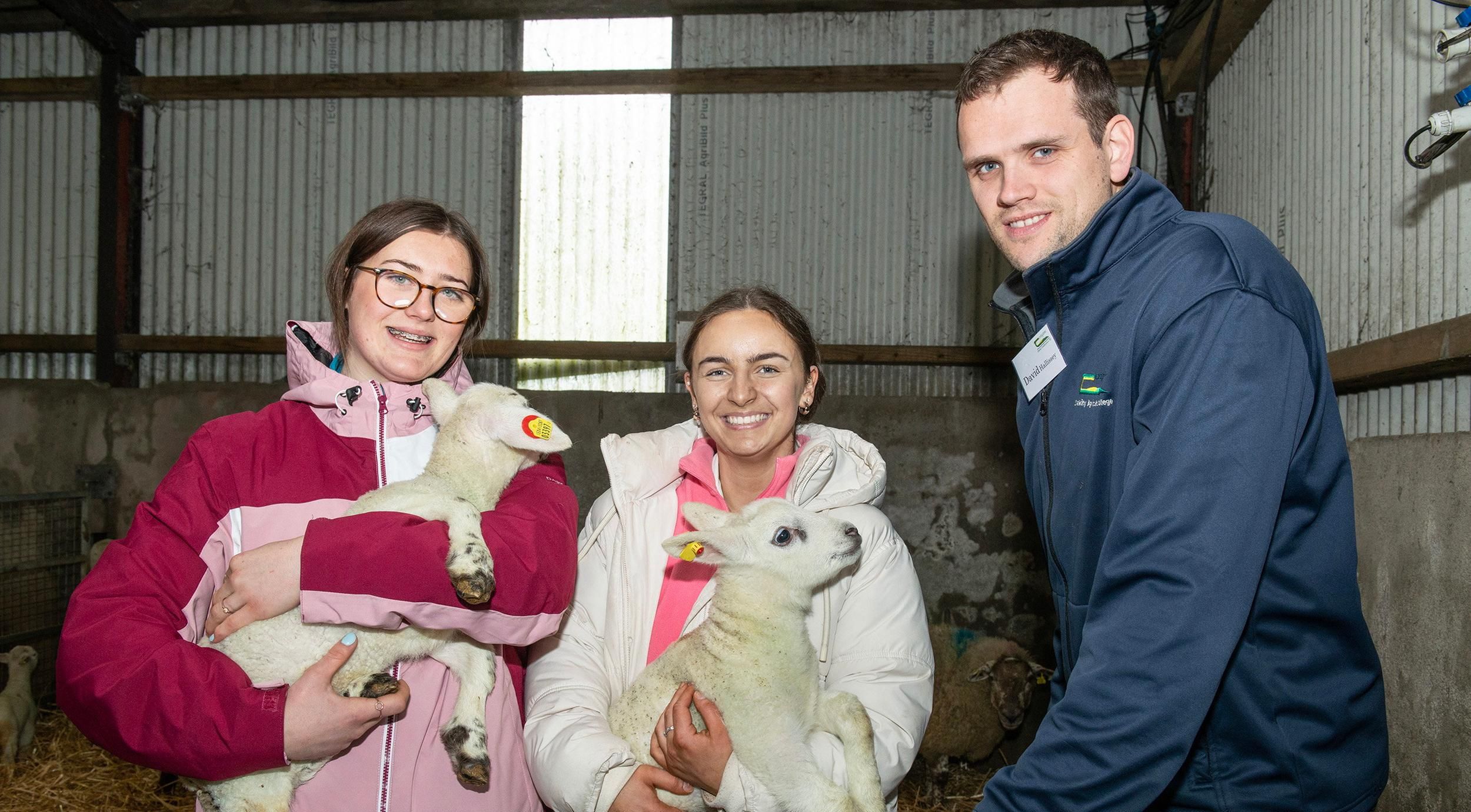 Around the Districts: Ballyhea and Freemount | Independent.ie