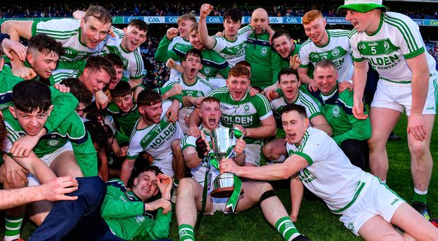 Colin Fennelly inspires Ballyhale to All Ireland glory as Henry ...