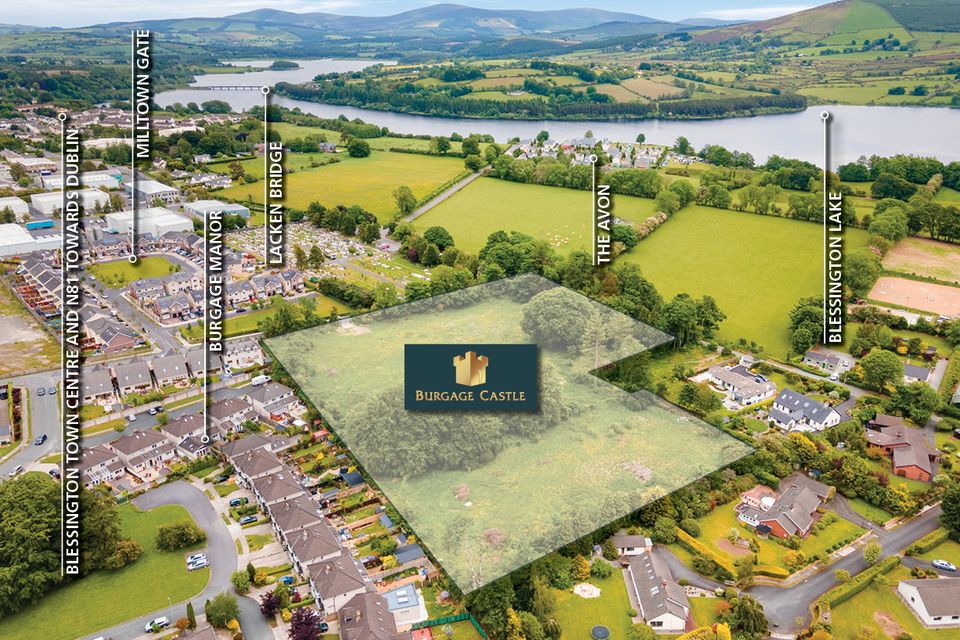 Blessington’s 4.6-acre development site has permission for 56 dwellings ...