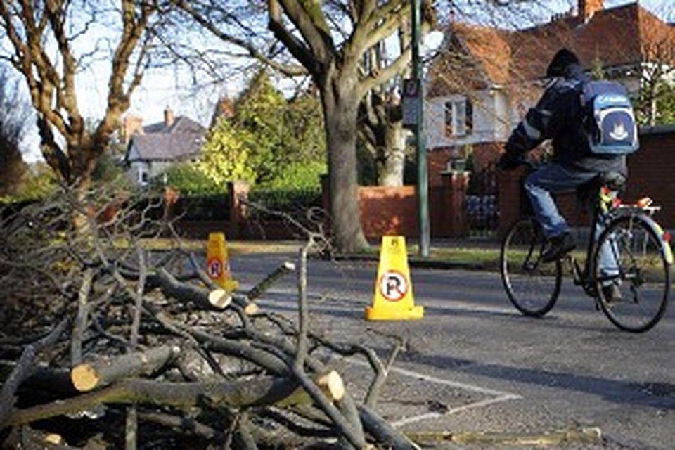 Storms leave 20,000 without power | Irish Independent