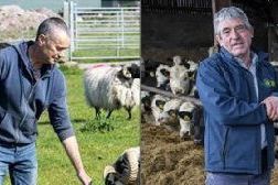 Kerry IFA Chair lodged complaint against his Vice Chair | Irish Independent