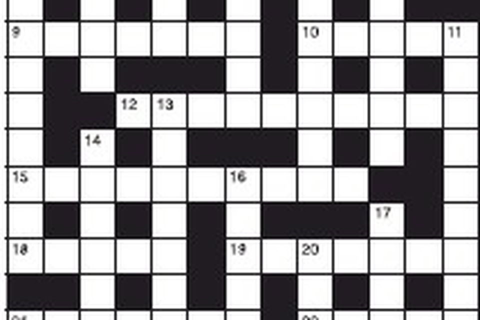 2-Speed Crossword | Irish Independent