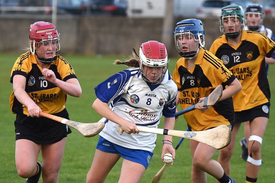 Kitty drives St. Ibar’s revival with five-goal haul | Irish Independent